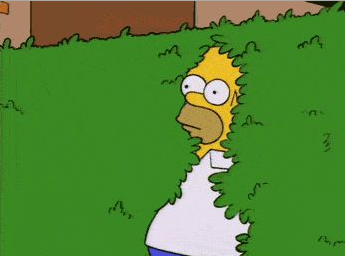 homer-simpson-bushes-gif.jpg-349×274 – LightShed Partners