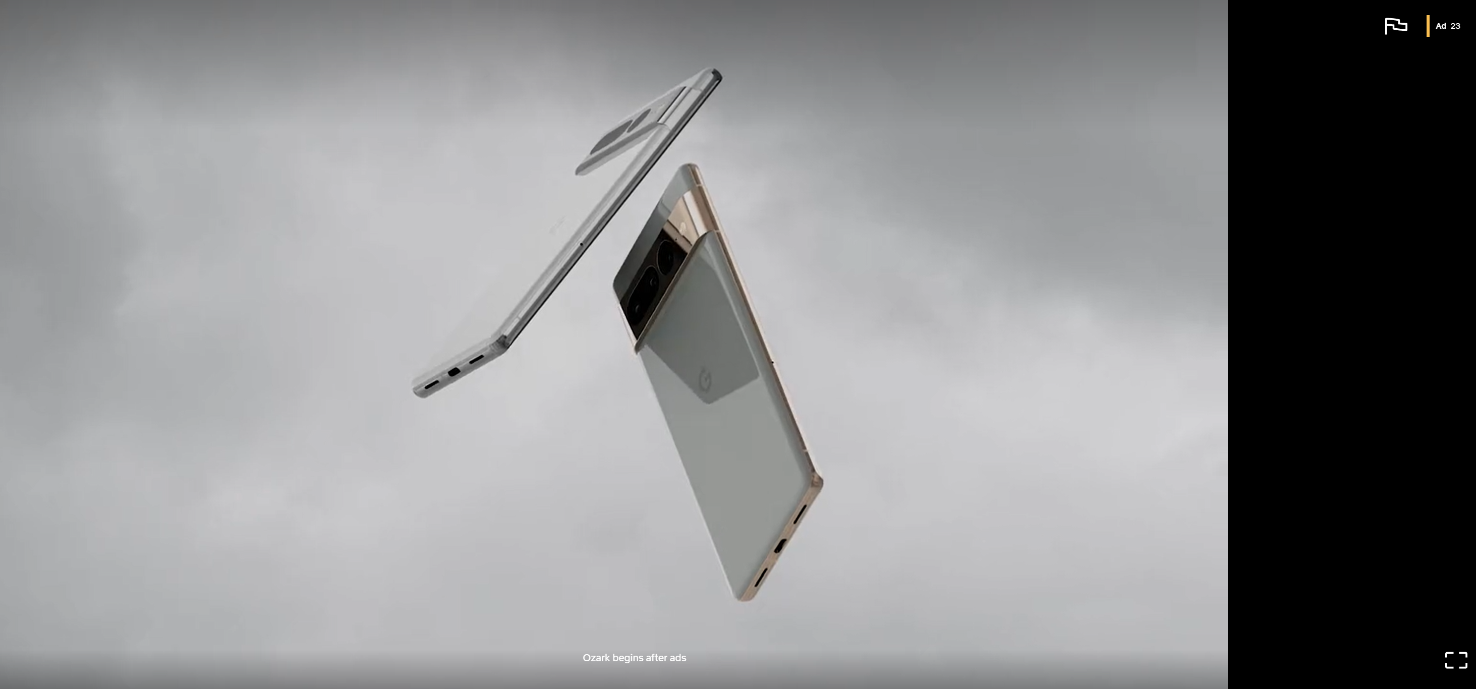 Google Pixel Ad – LightShed Partners